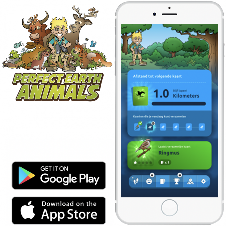 Alles wat je wilt weten over de IJsbeer - Perfect Earth