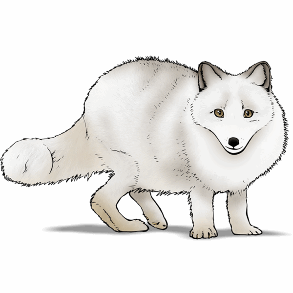 Poolvos - Perfect Earth