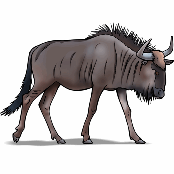 Gnoe - Perfect Earth